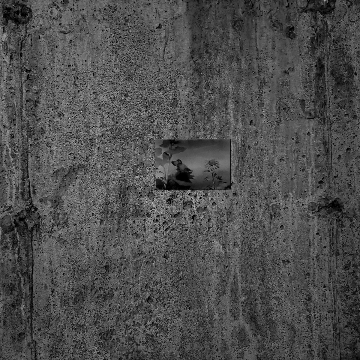 ‎Dwellers - Album by Ian Marshall - Apple Music