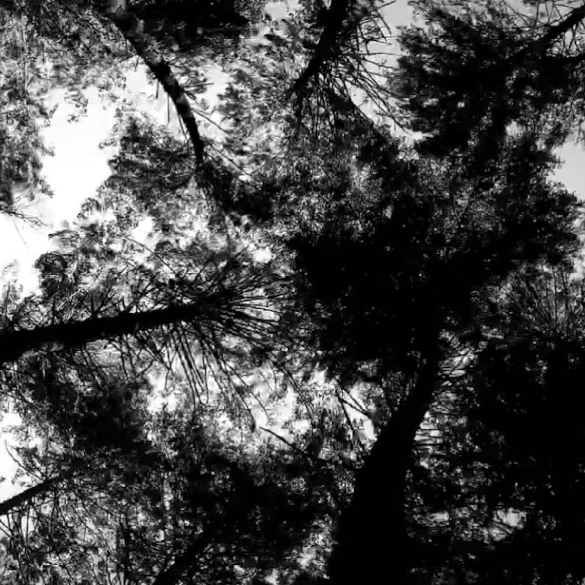 ‎Stilts (feat. Laura Swankey & Michael Malis) - Single - Album by Elisa ...