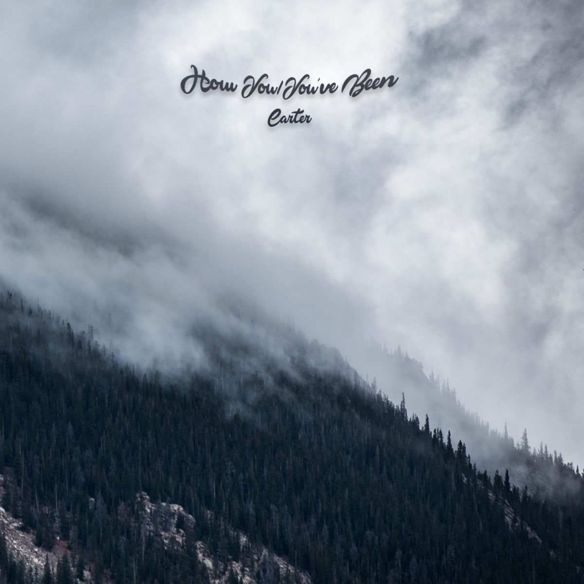 ‎How You've Been - Single - Album by CaRter - Apple Music