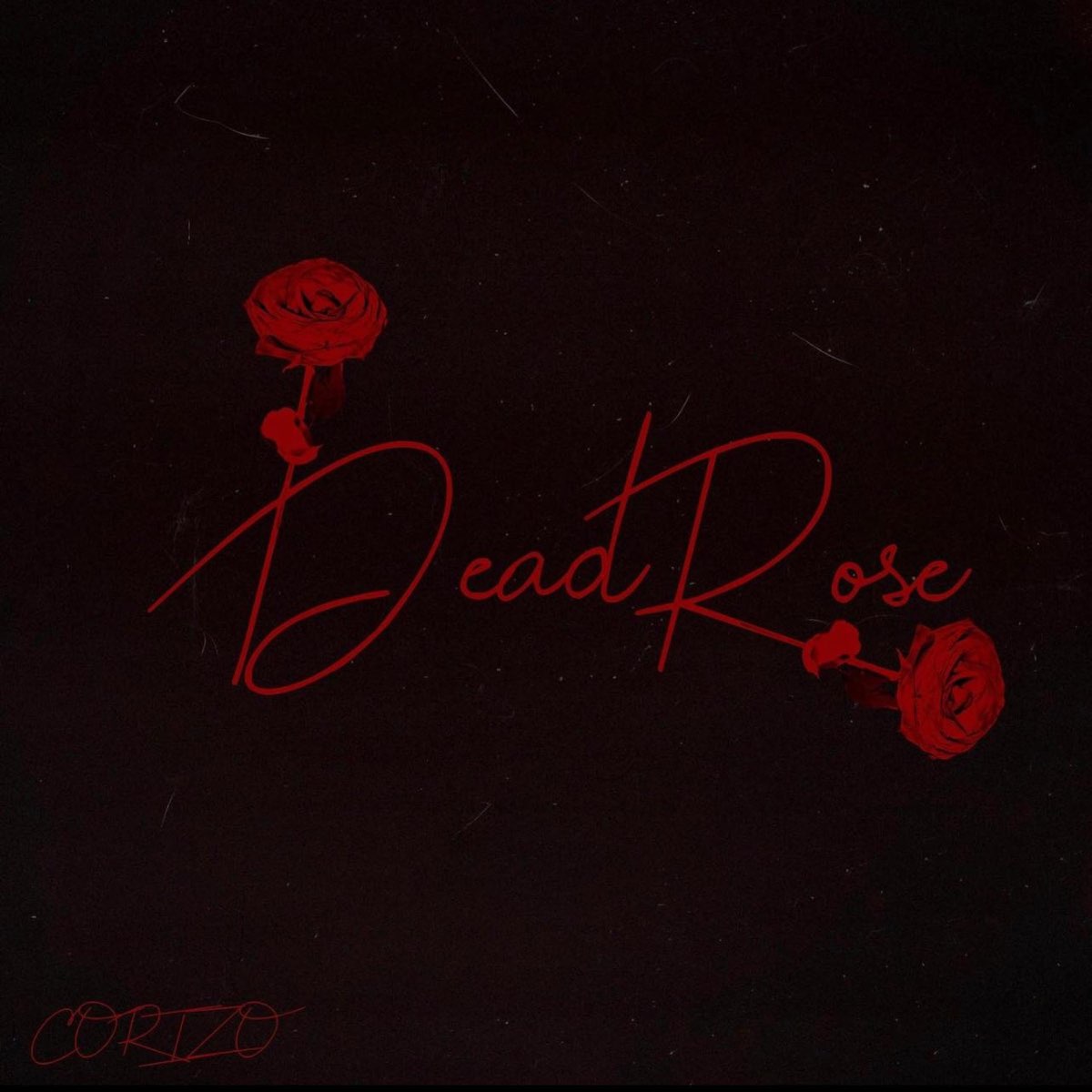 ‎Dead Rose - Album by Corizo - Apple Music