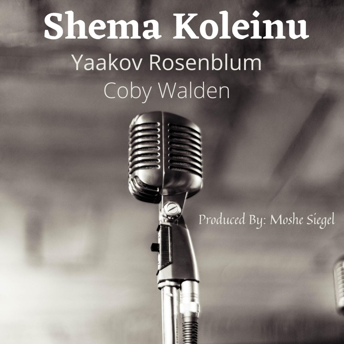 ‎Shema Koleinu (feat. Coby Walden) - Single - Album by Yaakov Rosenblum ...