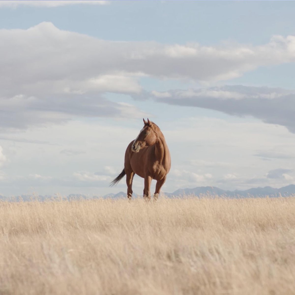 ‎Buffalo Runner (Original Motion Picture Soundtrack) - EP - Benjamin ...