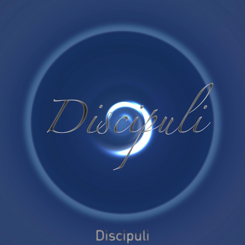 Bumblebee Song - Discipuli: Song Lyrics, Music Videos & Concerts