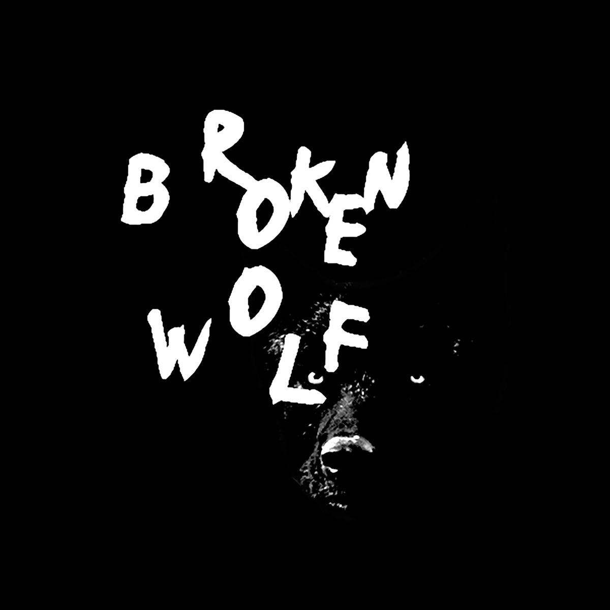 Broken Wolf - EP》- Rvrboy的专辑 - Apple Music