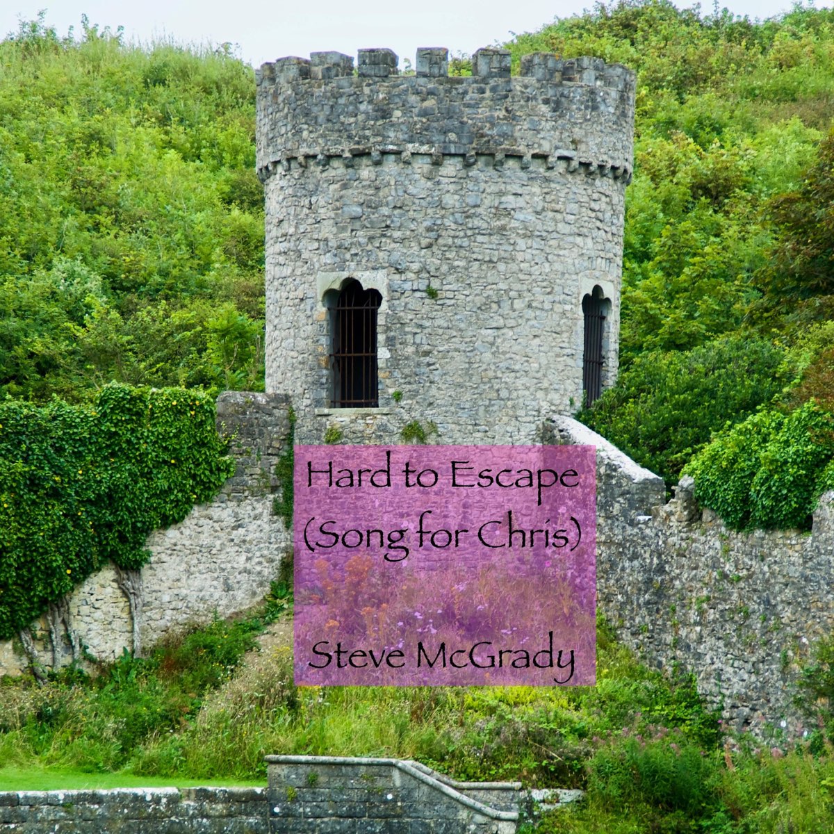 ‎Hard to Escape (Song for Chris) - Single - Album by Steve McGrady - Apple Music