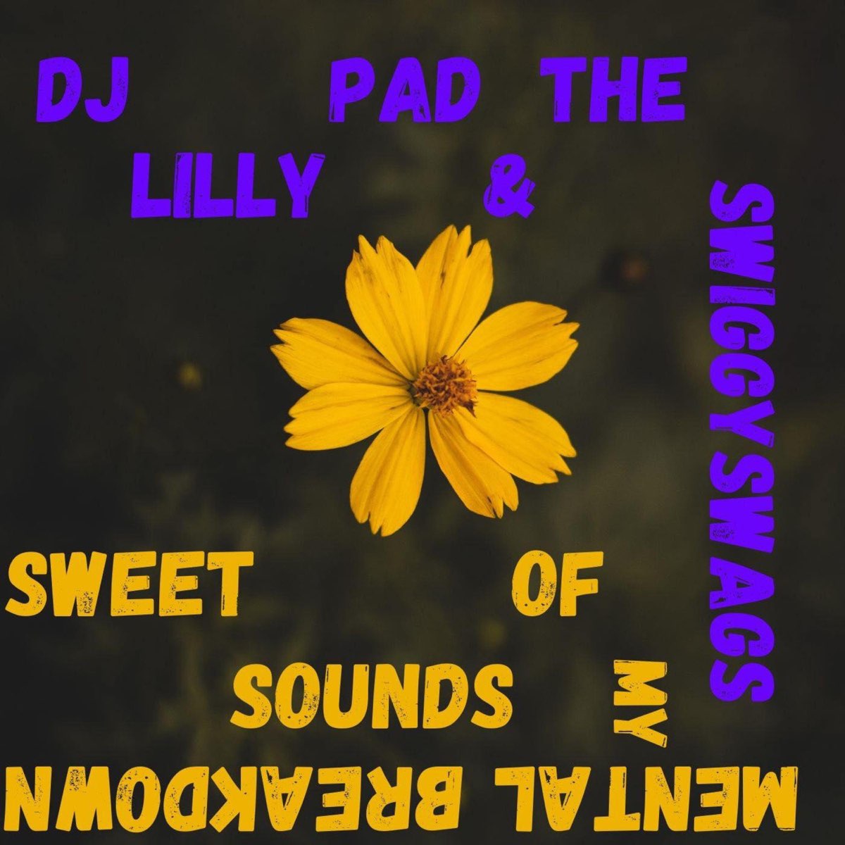 ‎Sweet Sounds of My Mental Breakdown - DJ Lilly Pad & The Swiggy Swagsの ...