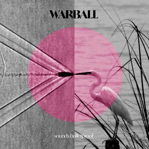 Warball store