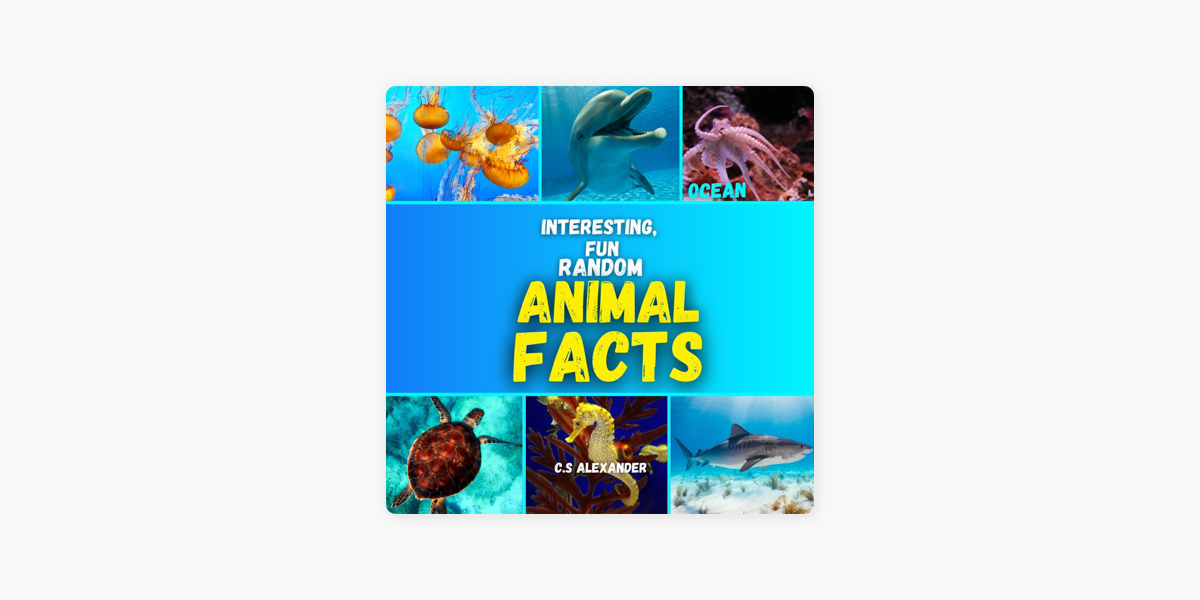 Random Animal Facts