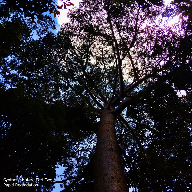 Isolation In the Forest - Ghostbin: Song Lyrics, Music Videos & Concerts