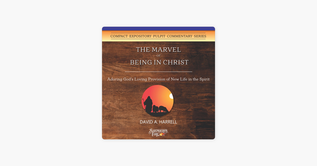 ‎The Marvel of Being in Christ: Adoring God's Loving Provision of New ...
