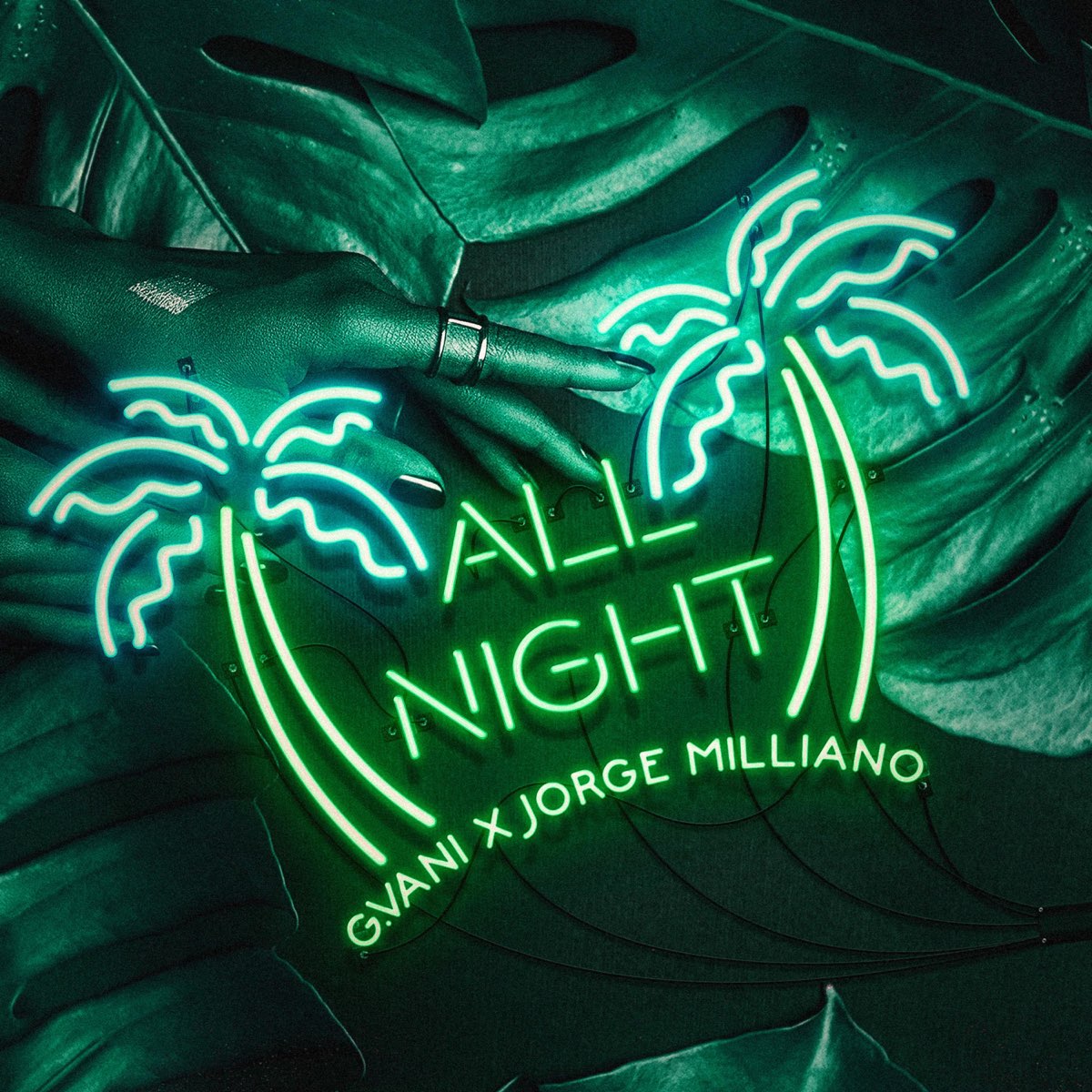 All Night - Single》- G.VANI & Jorge Milliano的专辑 - Apple Music