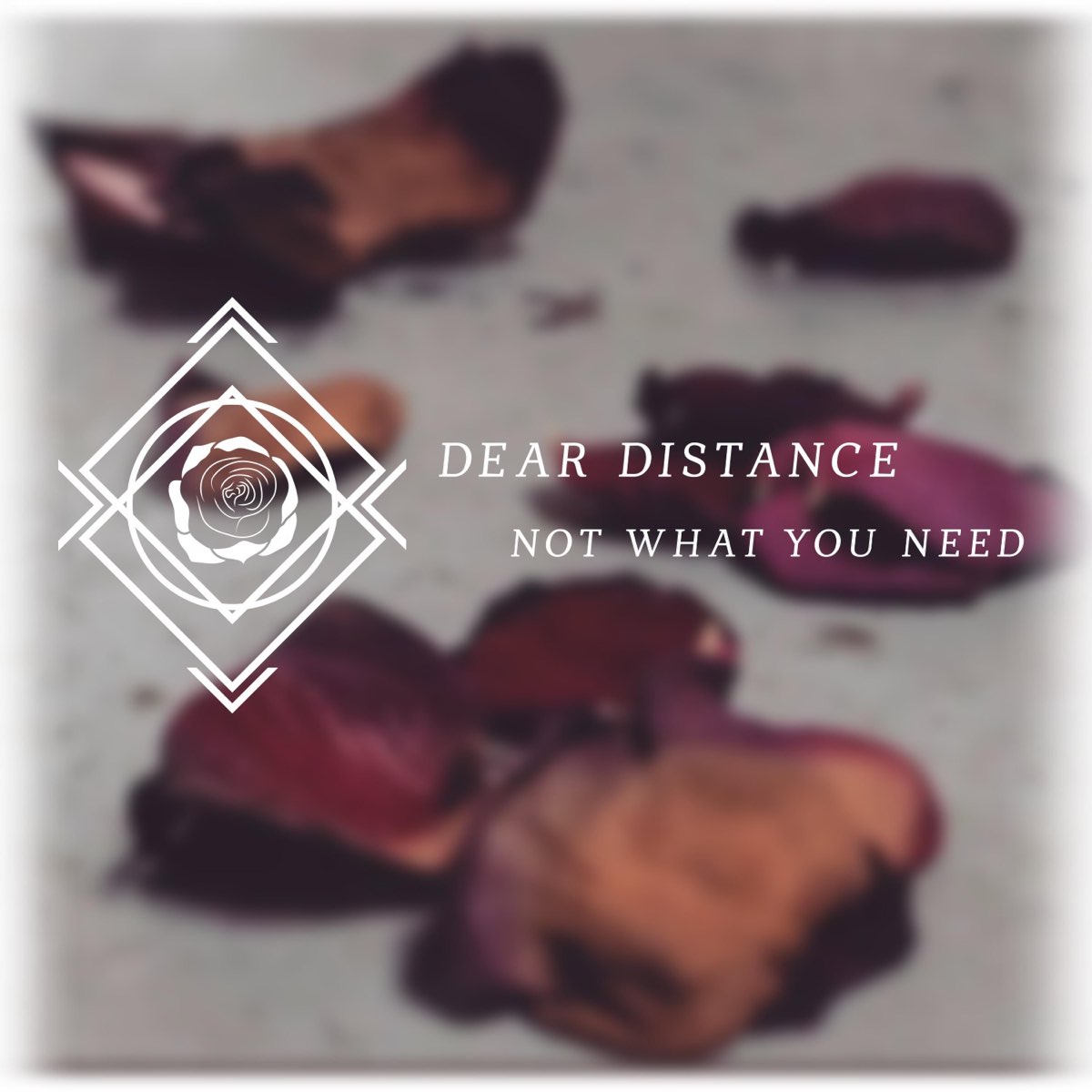 ‎Not What You Need - Album by Dear Distance - Apple Music