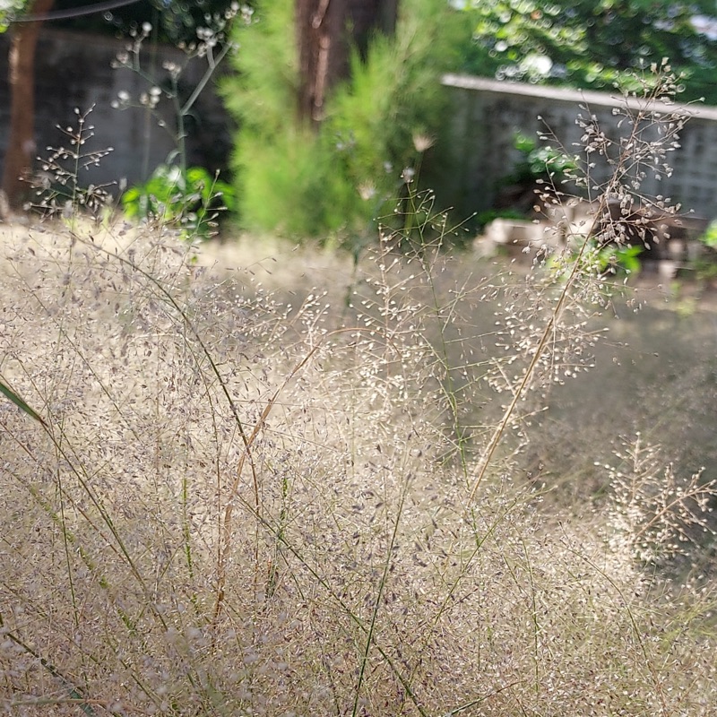 ใจฉันต่างหากที่เปลี่ยนไป - JUNENOM: Song Lyrics, Music Videos & Concerts