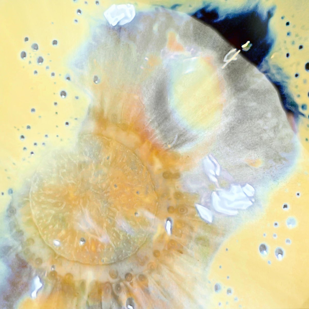 ‎The Beat Tracker vol. 1 - Album by R.E.A.L. Productions - Apple Music