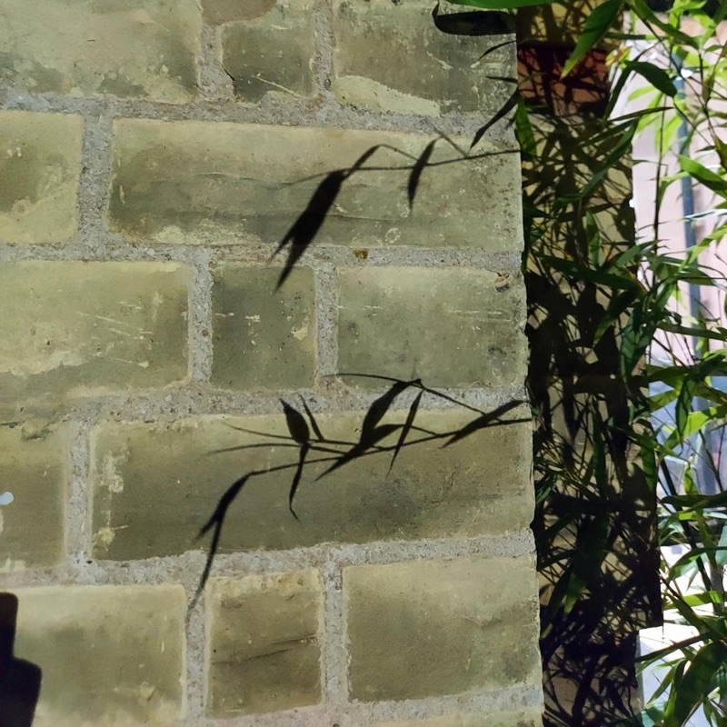 Nbvcx (Extended Version) - Louis Macfarlane: Song Lyrics, Music Videos ...