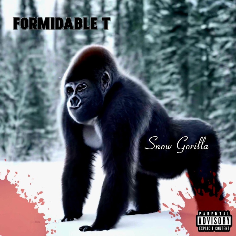 Sober as a Gopher - Formidable T: Song Lyrics, Music Videos & Concerts