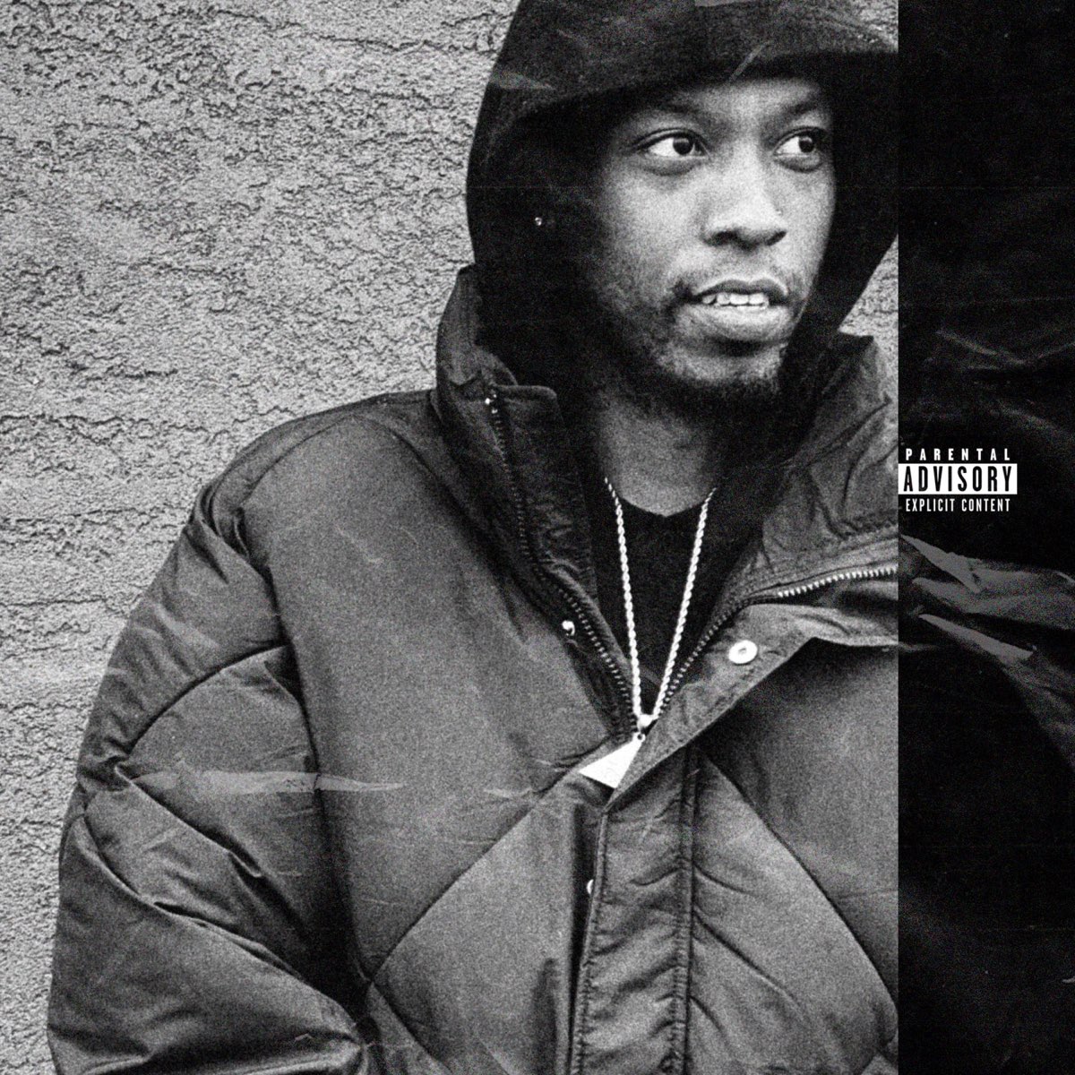 ‎Vultures - Single - Album by Sean Rose - Apple Music