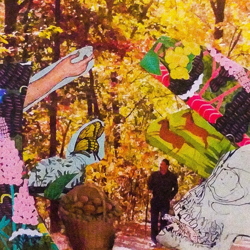 The Voluntary Human Extinction Movement - Ian Fowler: Song Lyrics ...