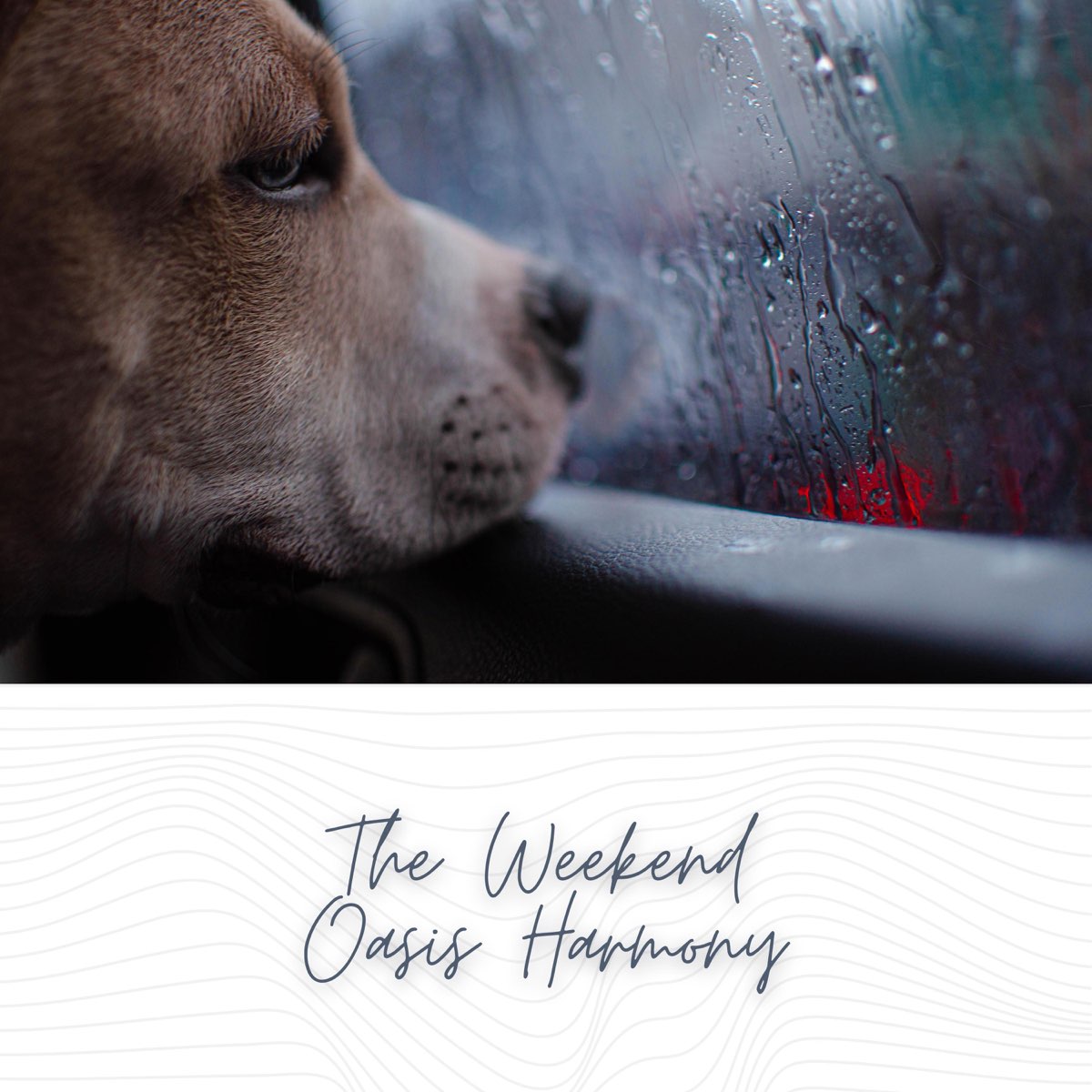 ‎Quiet Rain: Ear Balm for Inner Peace and Restorative Sleep, Vol. 2 ...