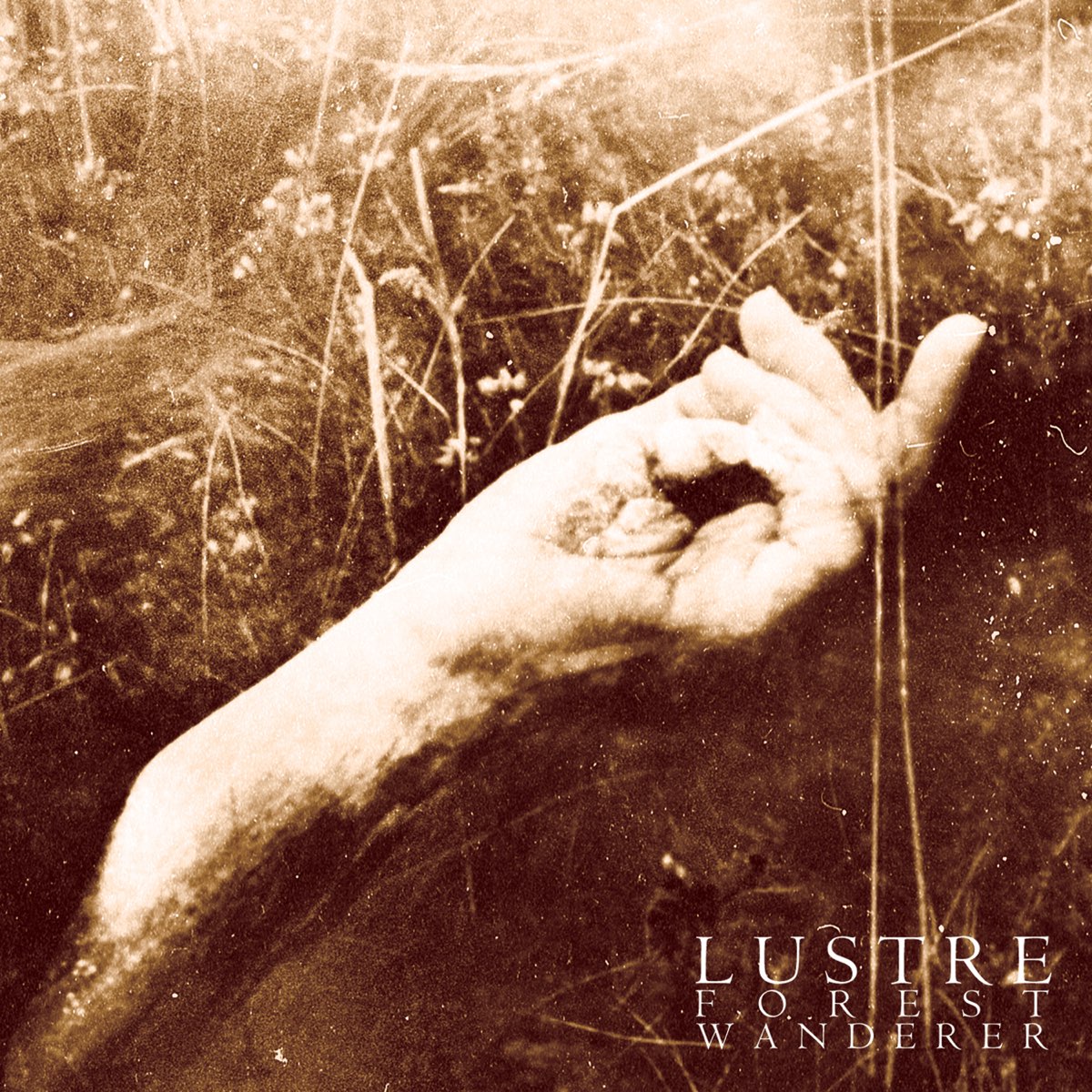‎Forest Wanderer - EP - Album by Lustre - Apple Music