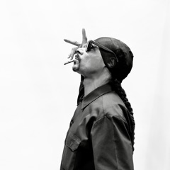 Affirmation Song (feat. Snoop Dogg) - Doggyland: Song Lyrics, Music ...