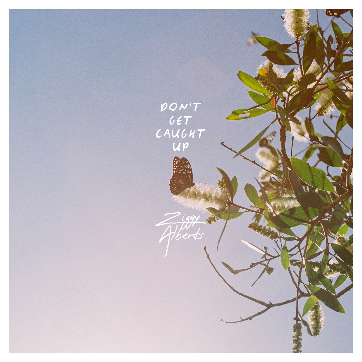 dont Get Caught Up Single Album By Ziggy Alberts Apple Music