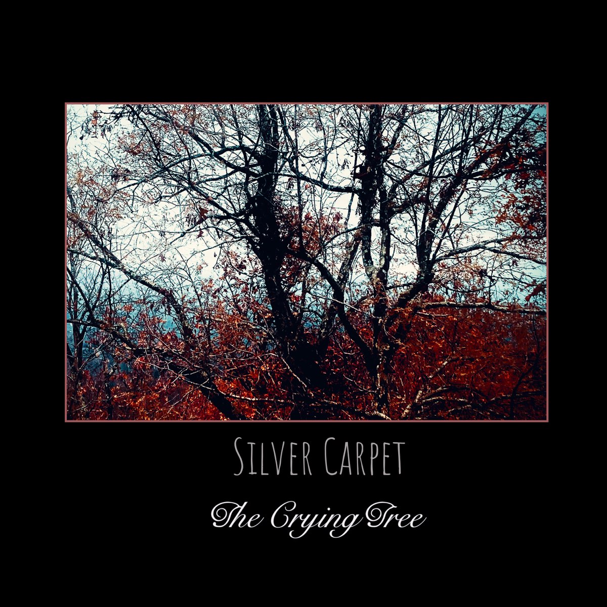 ‎The Crying Tree - EP by Silver Carpet on Apple Music