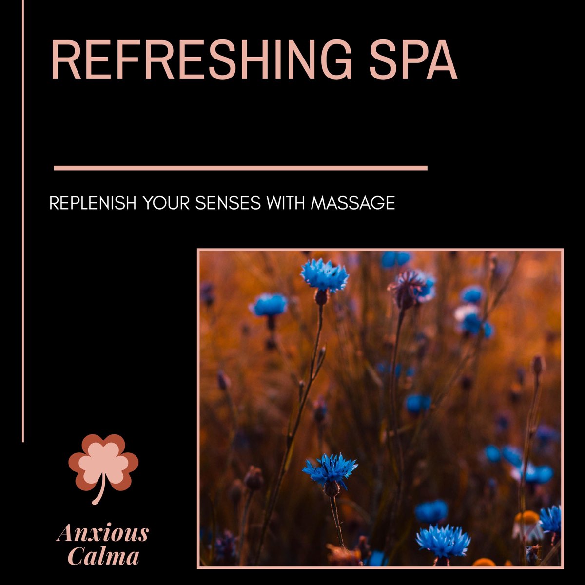 ‎Refreshing Spa - Replenish Your Senses With Massage - Album by Various ...