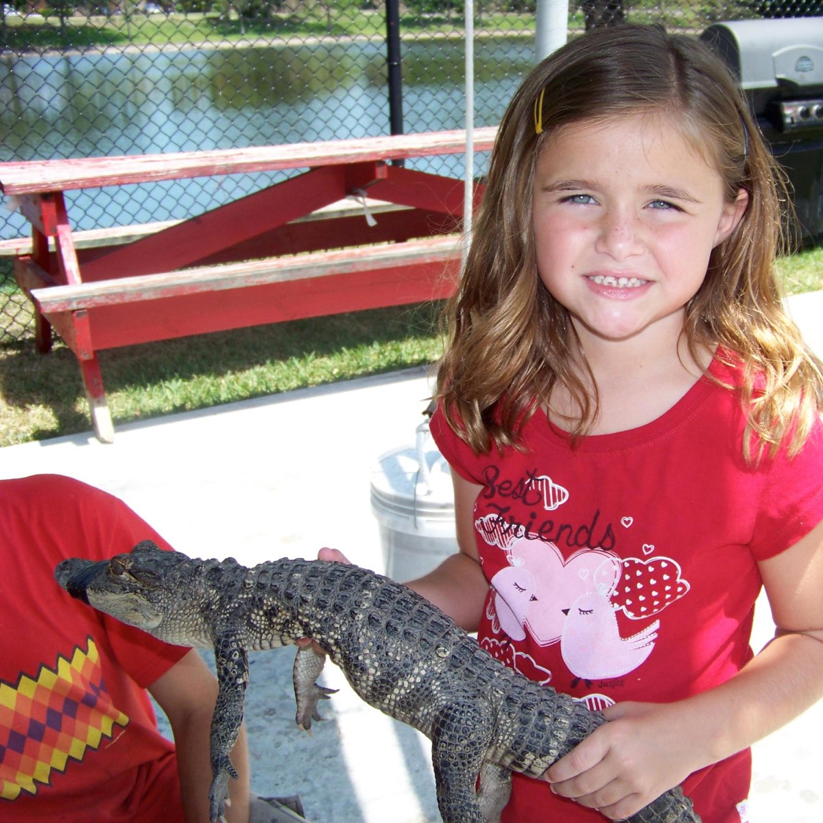 ‎In Broward - Single - Album by megnutt - Apple Music