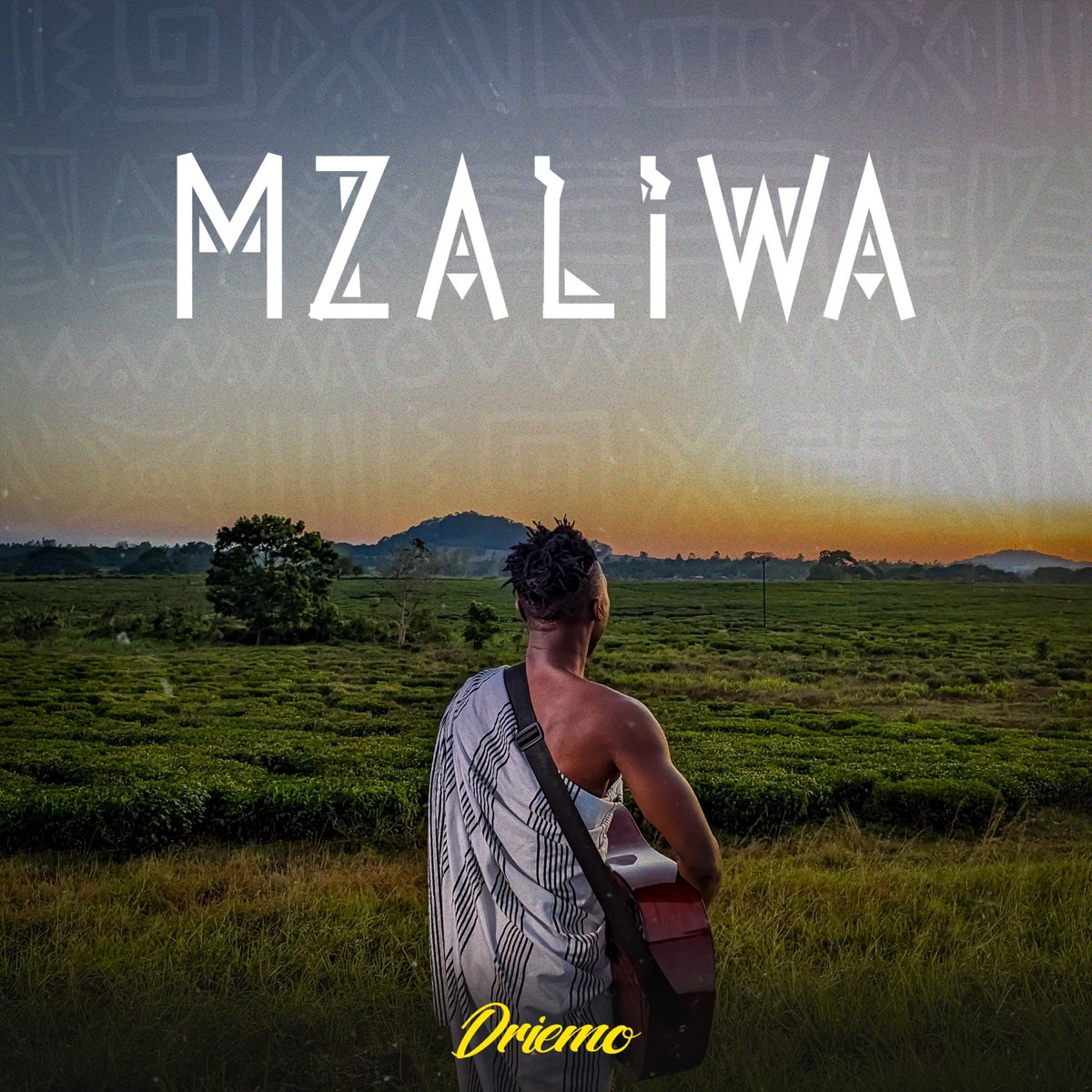 ‎Mzaliwa - Album by Driemo Mw - Apple Music