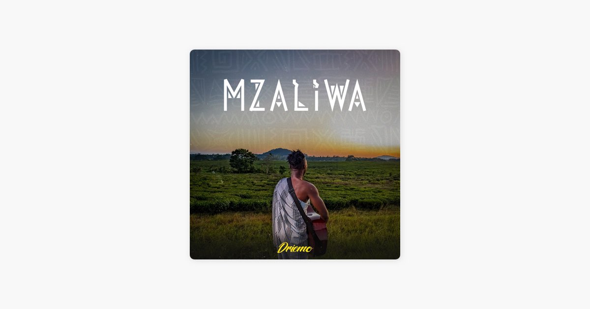 ‎Popo (Remix) – Song by Driemo Mw & Yo Maps – Apple Music