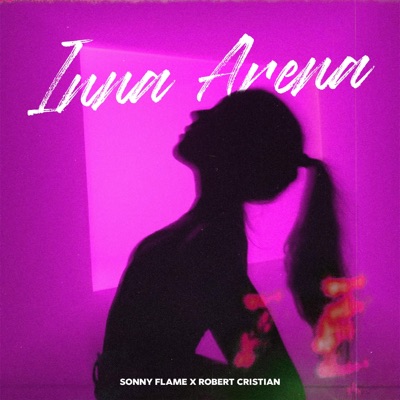 Inna Arena - Sonny Flame & Robert Cristian | Shazam