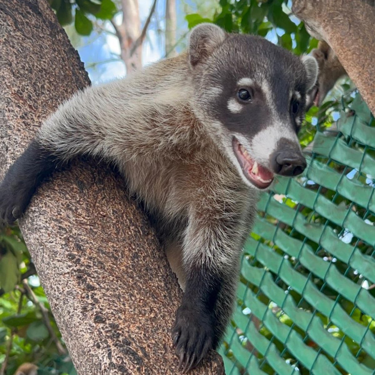 ‎The Smiths Morrissey Style Gothic Nightmare (feat. John Foster ...