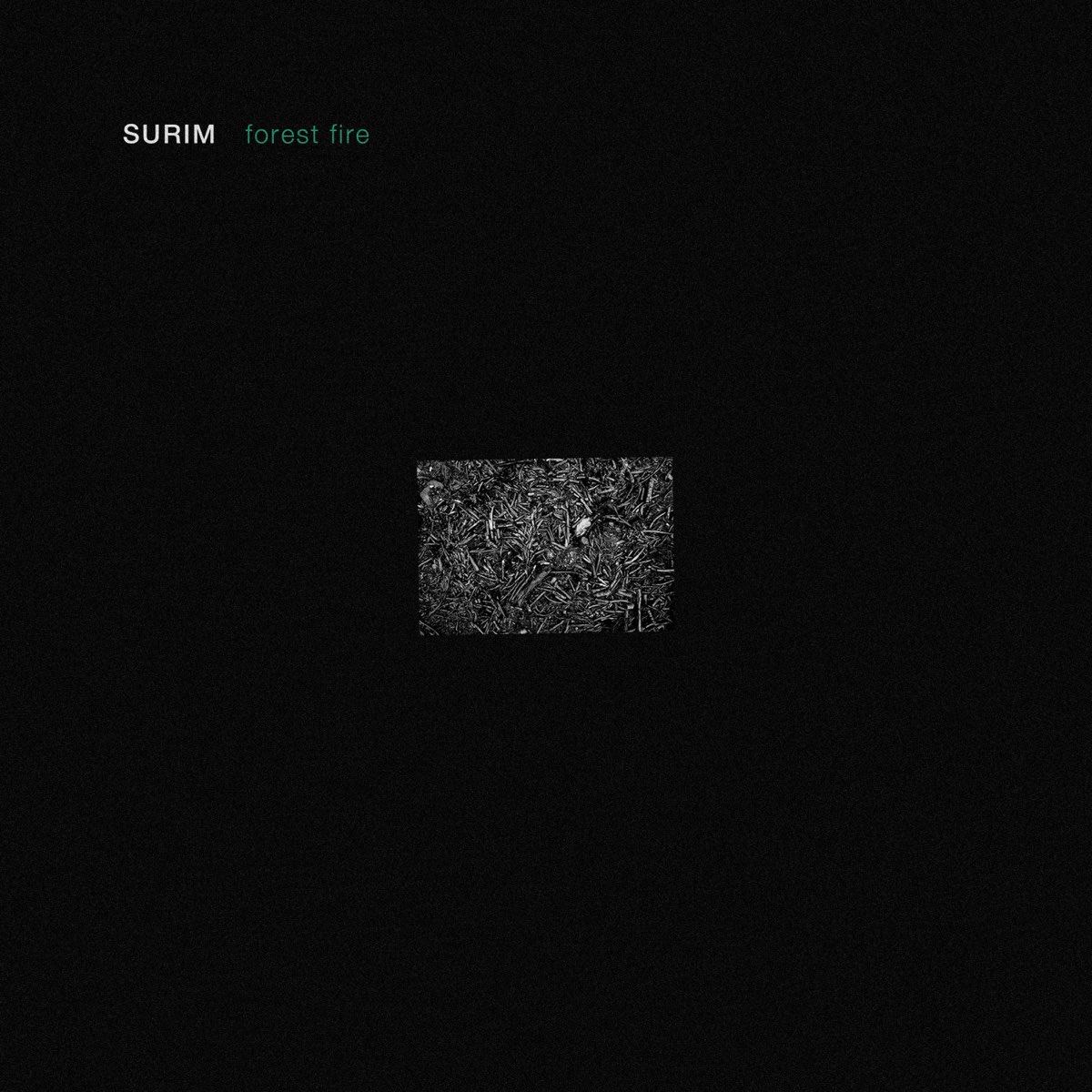 ‎Forest Fire - Single - 수림의 앨범 - Apple Music