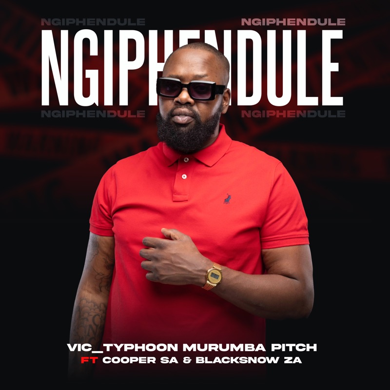 Ngiphendule (feat. Cooper SA & BLACKSNOW) - Vic_typhoon & Murumba Pitch ...