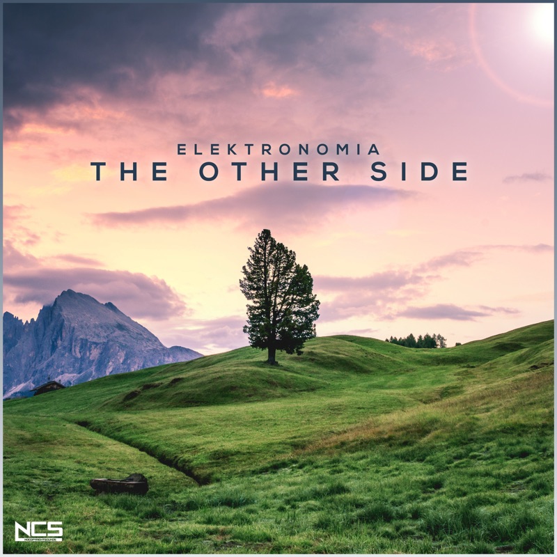 The Other Side - Elektronomia: Song Lyrics, Music Videos & Concerts