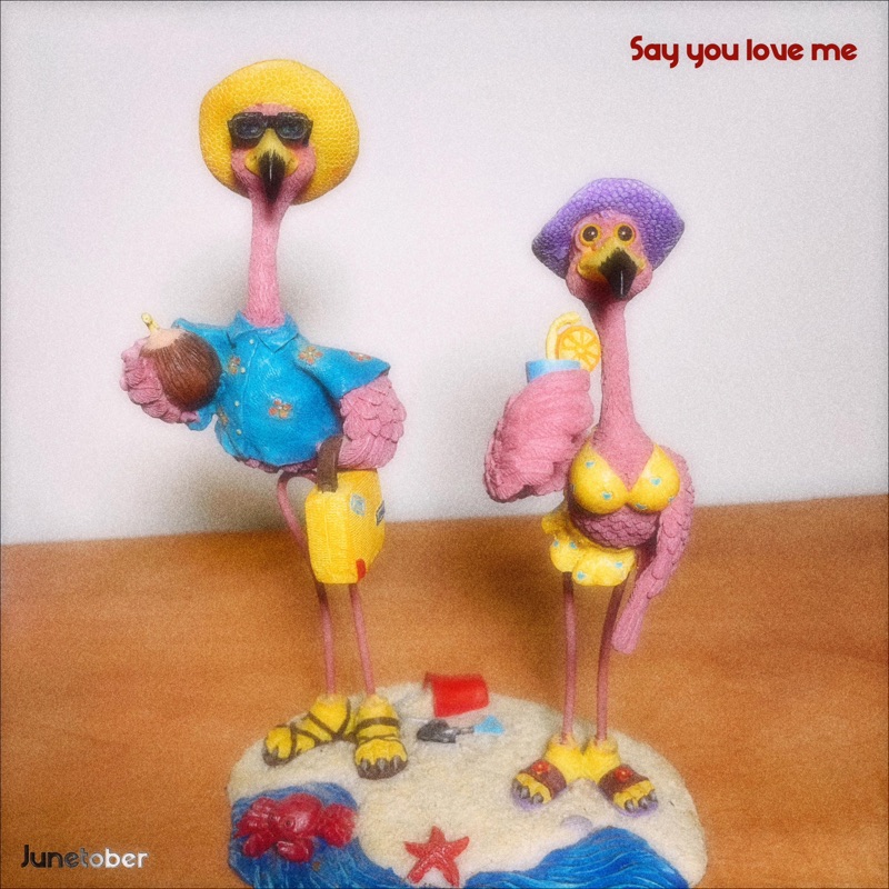 Say You Love Me - Junetober: Song Lyrics, Music Videos & Concerts