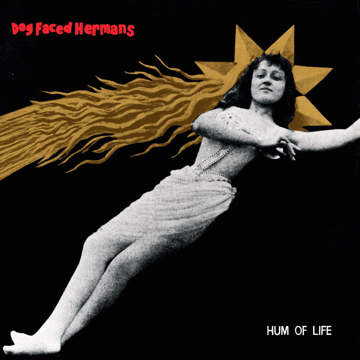‎Hum of Life - Album by Dog Faced Hermans - Apple Music