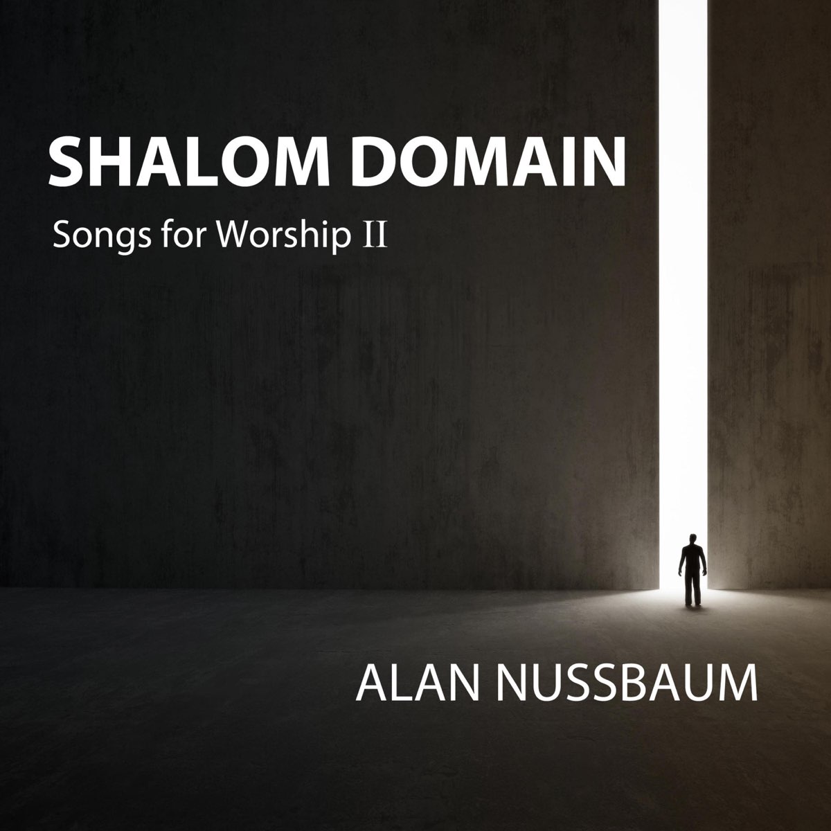 ‎Shalom Domain - Album by Alan Nussbaum - Apple Music