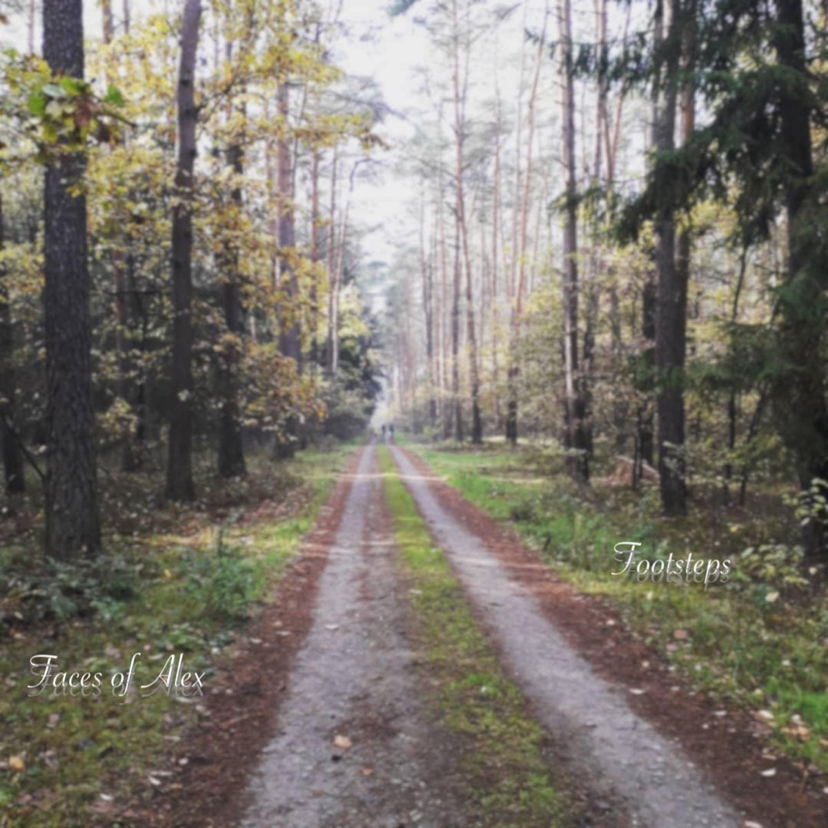 ‎Footsteps - Album by Faces of Alex - Apple Music