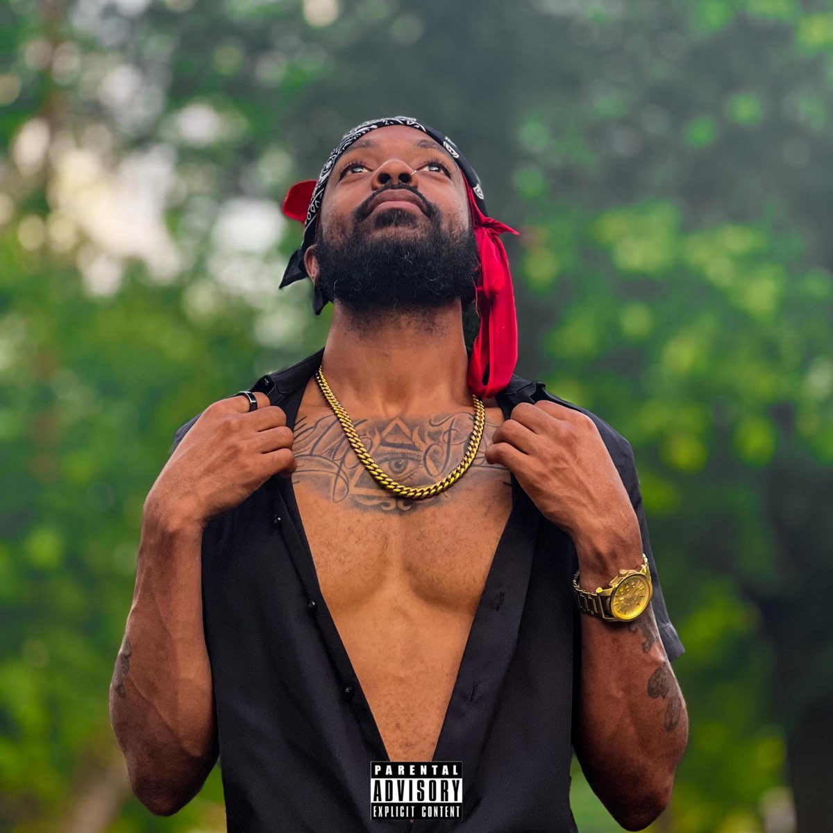 ‎The Abundance is Real by Mello Will on Apple Music