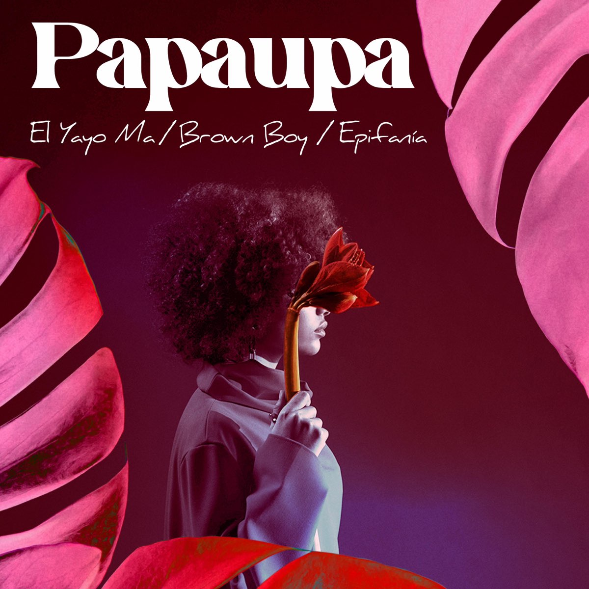 ‎Papaupa (feat. Brown Boy Music, Epifanía Music, Ander The Producer ...