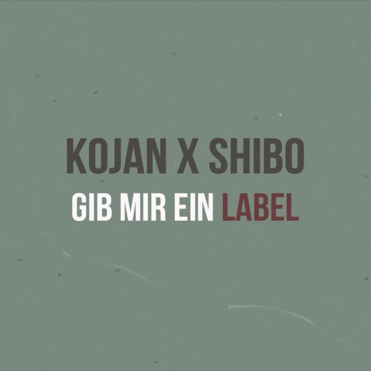 ‎Gib mir ein Label 2024 (feat. Kojan) - Single – Album par Shibo ...