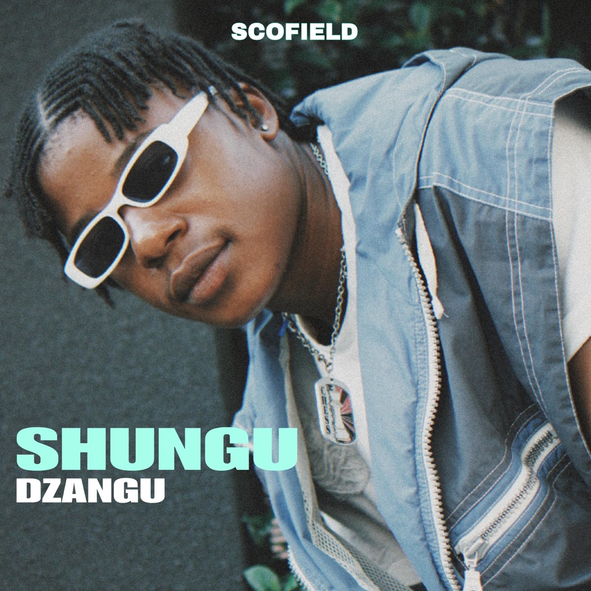 ‎Shungu Dzangu - Single - Album by Scofield - Apple Music