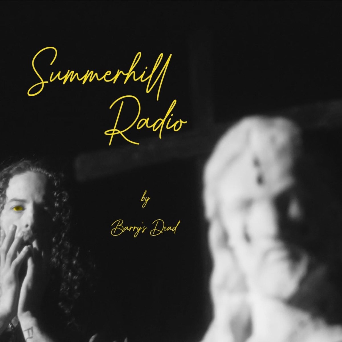 ‎Summerhill Radio - Barry's Dead!의 앨범 - Apple Music