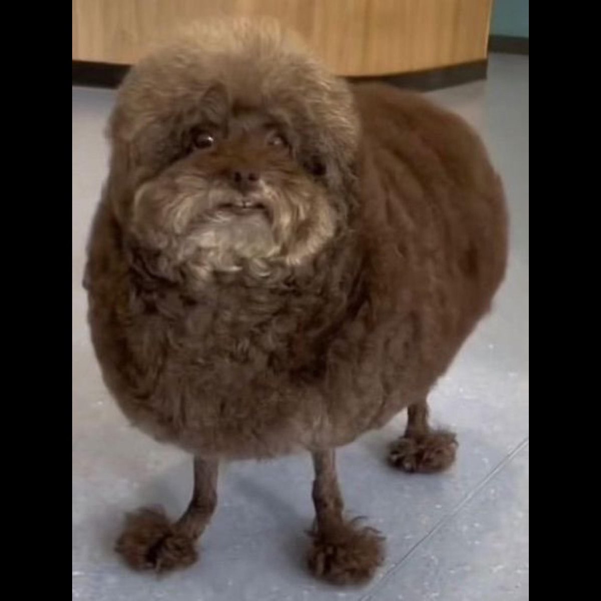 ‎Man Or Machine - Single - Album by Mia Beyern - Apple Music