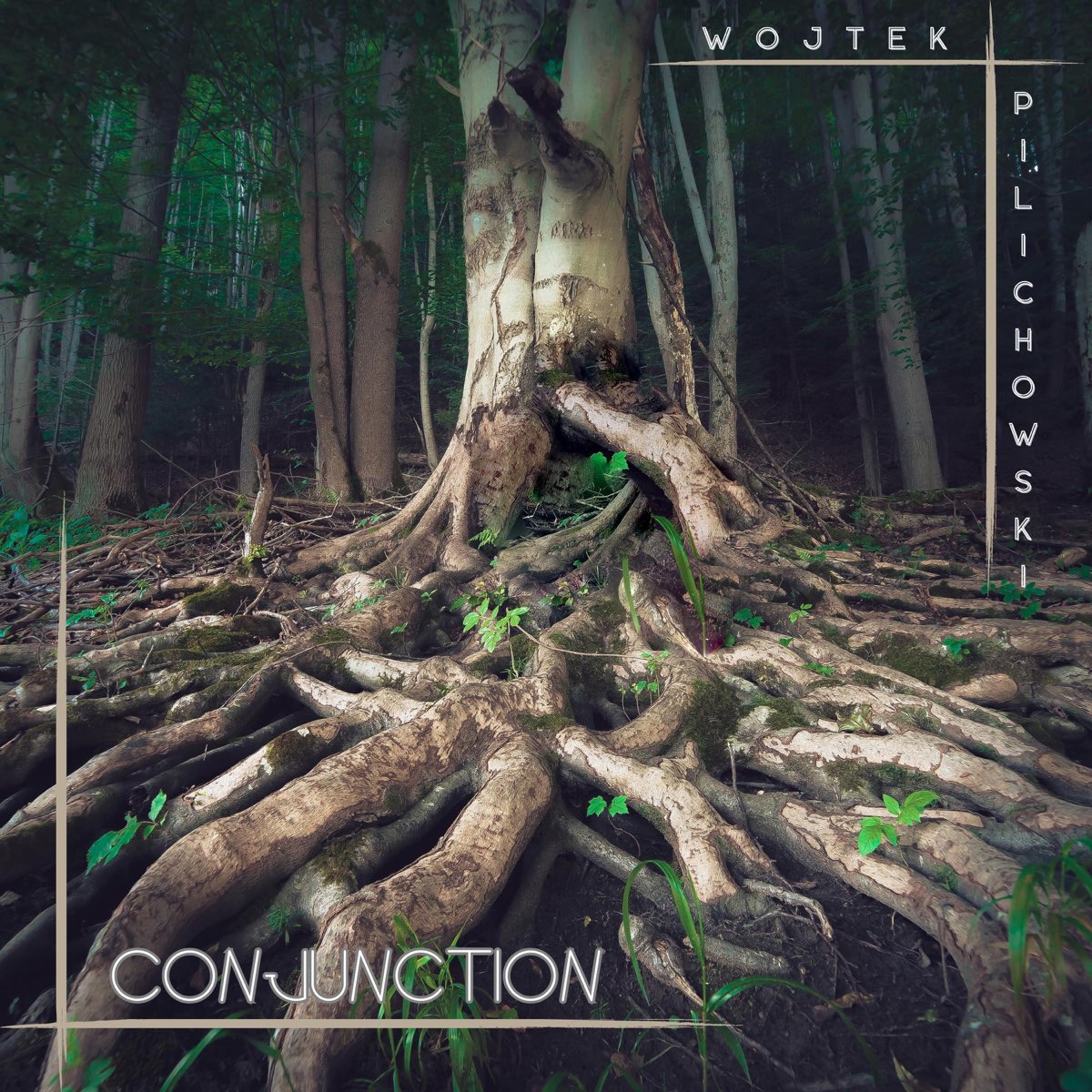 ‎Conjunction - Wojtek Pilichowskiのアルバム - Apple Music