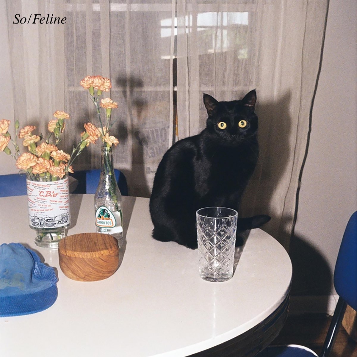 ‎Альбом «So/Feline - Single» — Texas Welcome Center — Apple Music