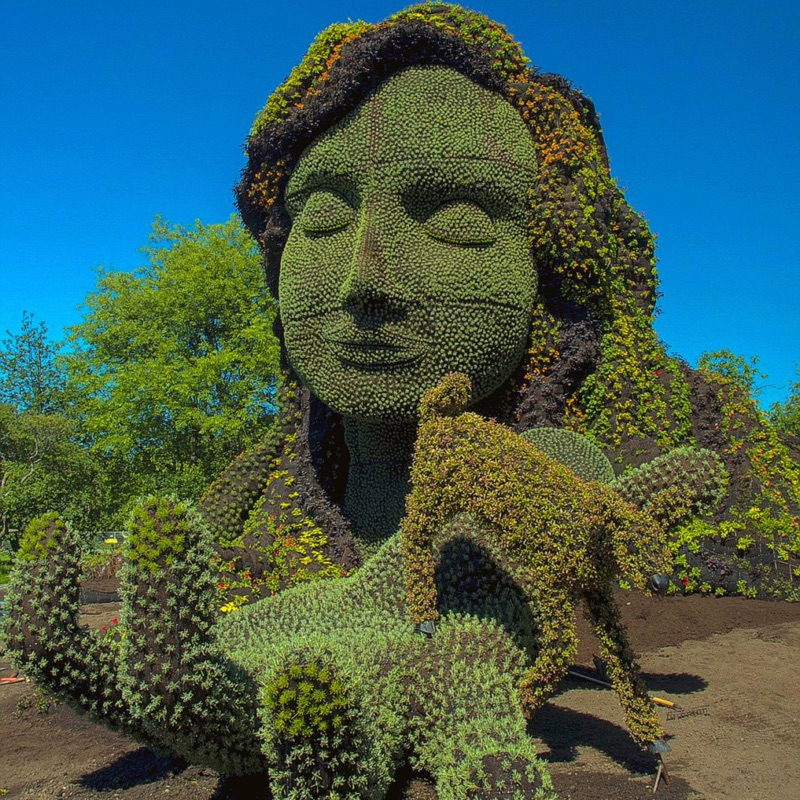 Summerr - Goob: Song Lyrics, Music Videos & Concerts