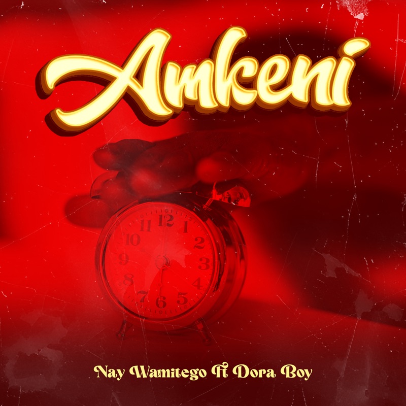 Amkeni (feat. Dora Boy) - Nay Wa Mitego: Song Lyrics, Music Videos ... Amkeni (feat. Dora Boy) - Nay Wa Mitego: Song Lyrics, Music Videos ...